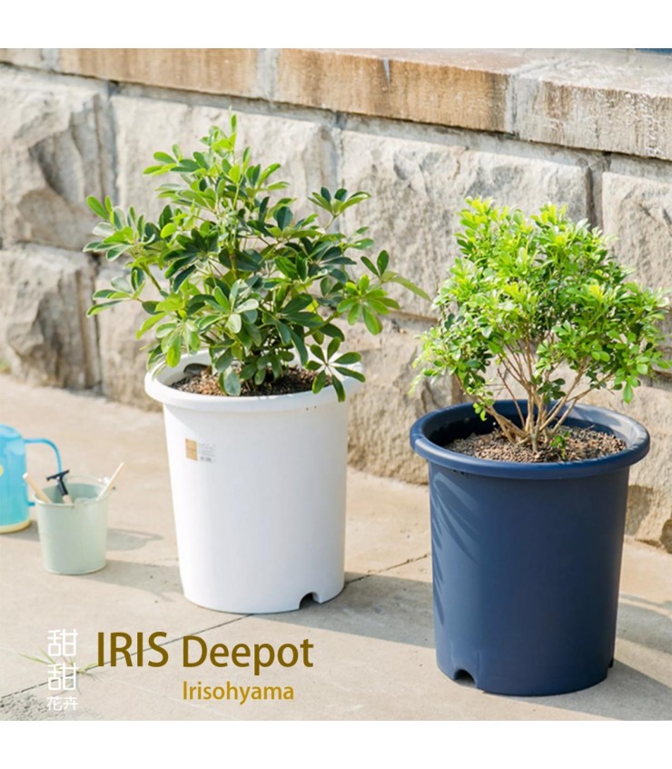 Plastic Planter Pot - Deepot Irisohyama (IRIS)