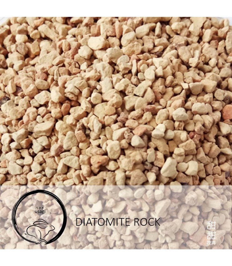 Diatomite Rock (Usagi)