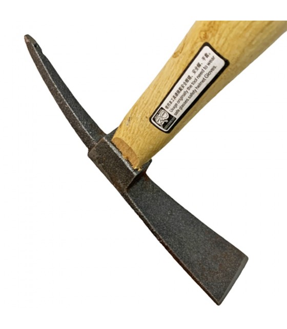 Candy Floriculture | Singapore's Floral and Landscape Specialist