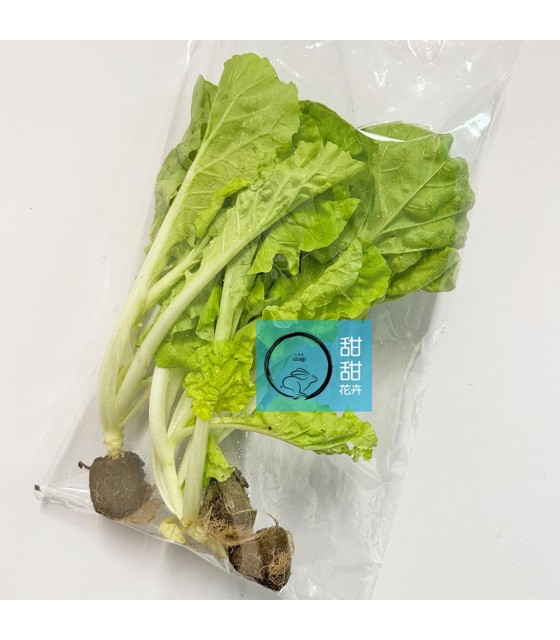 Fresh Vegetables
