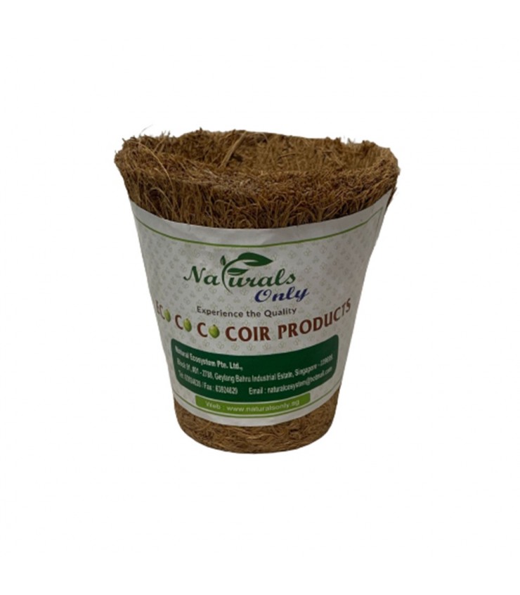 Biodegradable Eco Coco Coir / Fibre Seedling Cups
