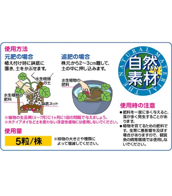 Candy Floriculture | Singapore's Floral and Landscape Specialist