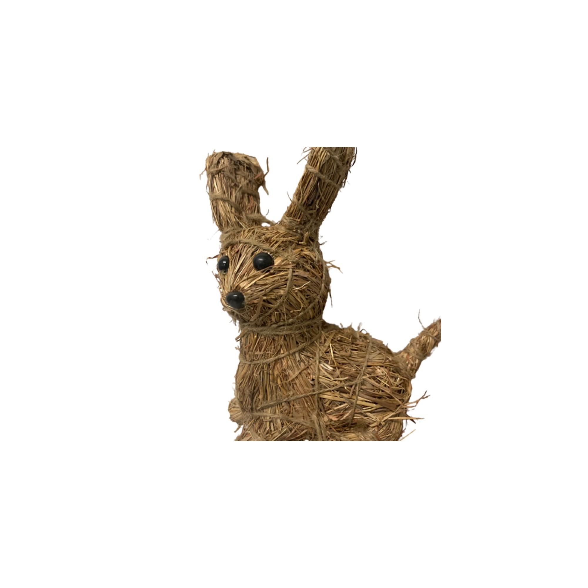 Biodegradable Animal Garden Decorations