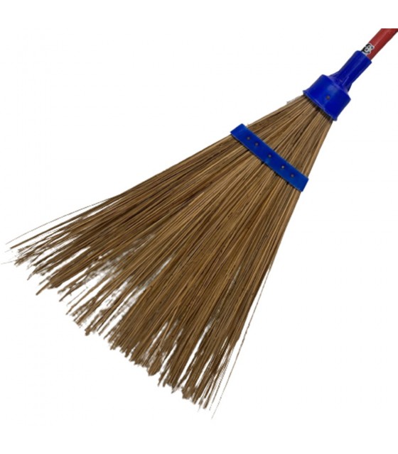 Candy Floriculture | Singapore's Floral and Landscape Specialist