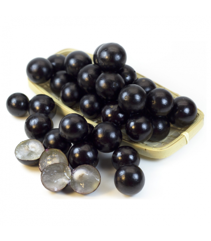 Jaboticaba (Plinia cauliflora)