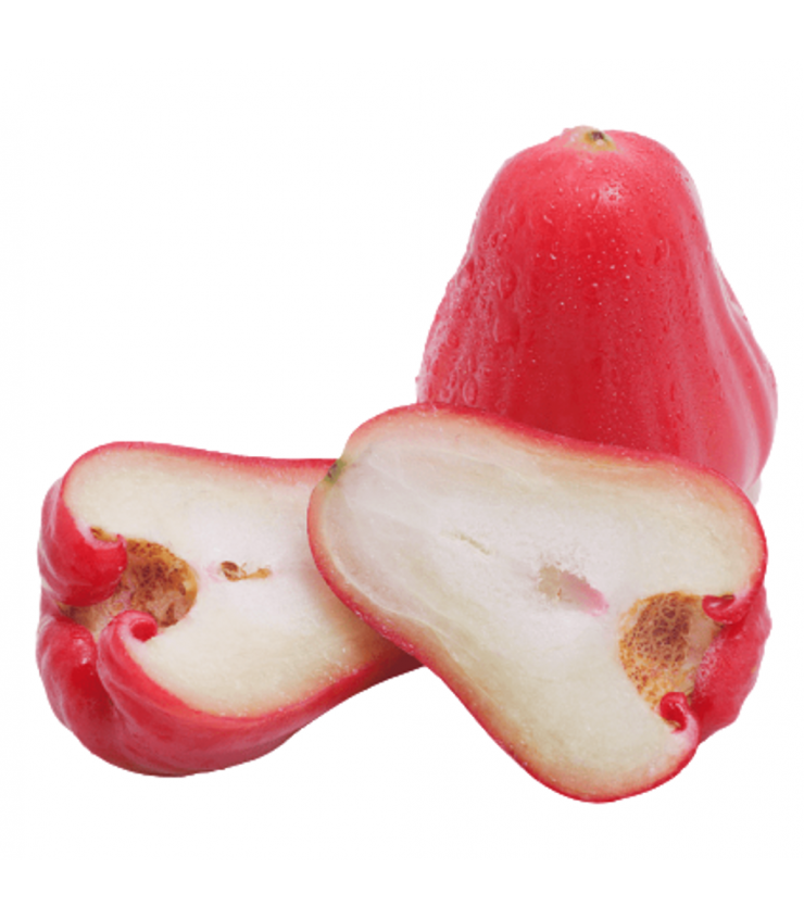 Wax Jambu - Grafted (Syzygium Samarangense)