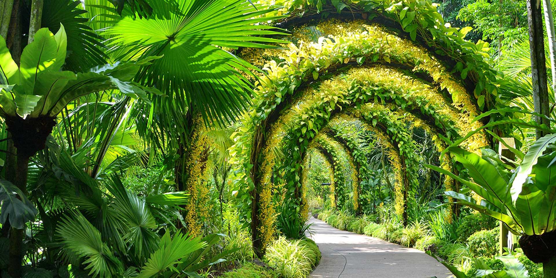 Candy Floriculture | Singapore's Floral and Landscape Specialist